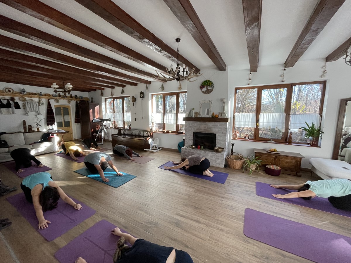 Galerie Poze - Online Yoga